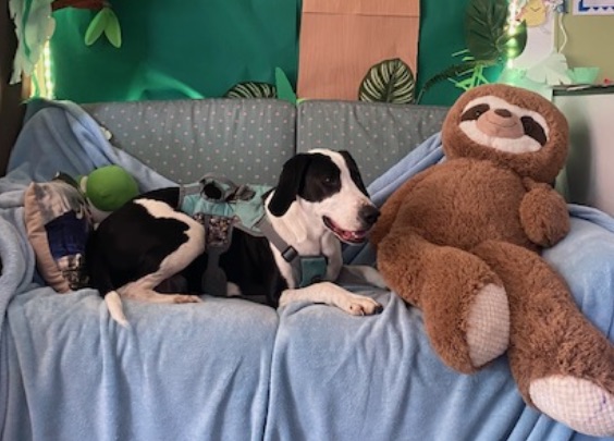 Meet Our Staff – Forest Moor School